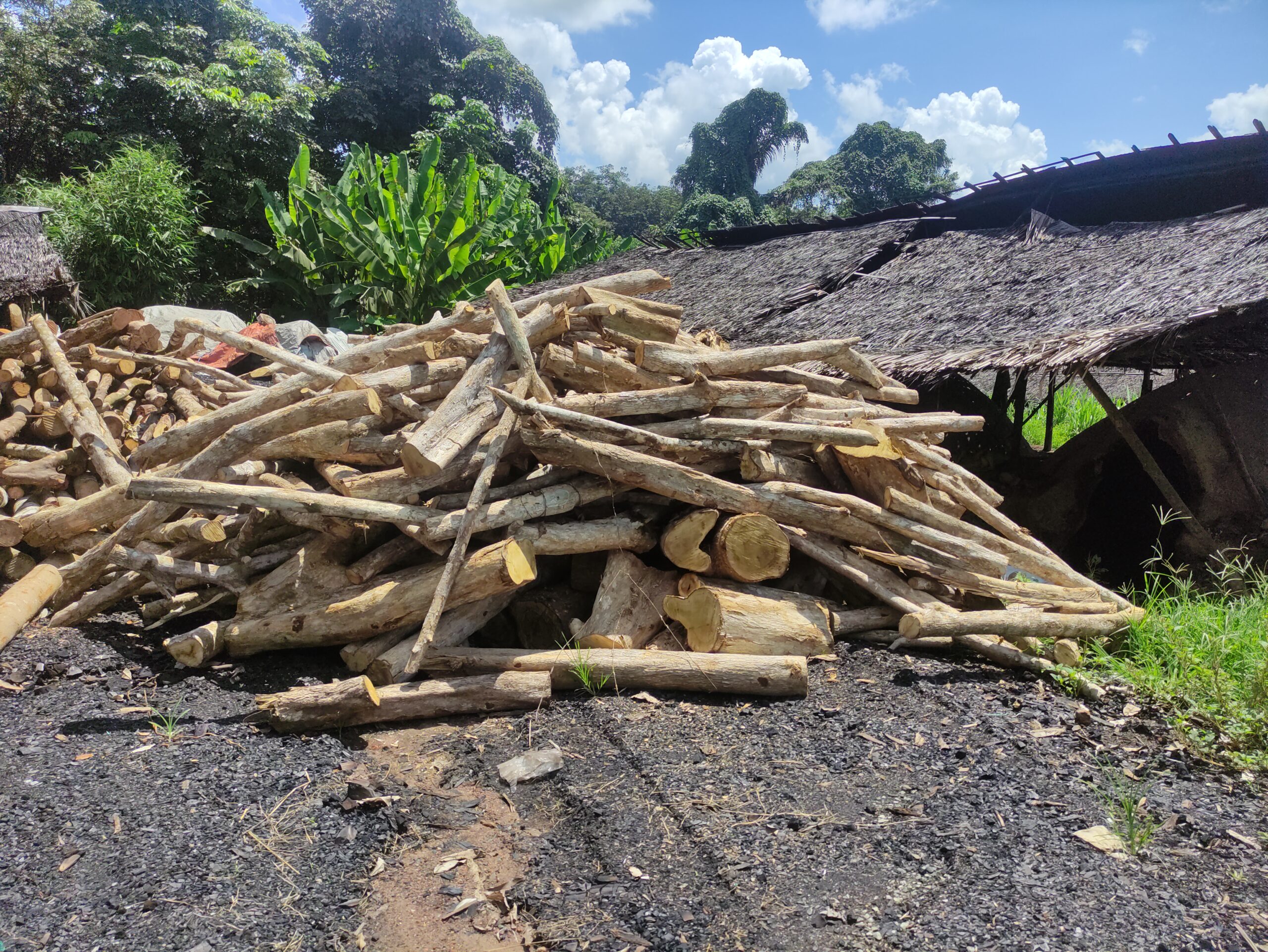 The Production Process of High-Quality Charcoal from Halaban