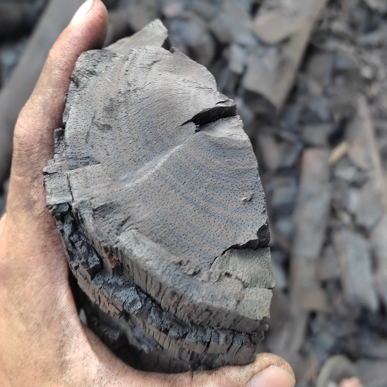 Arang Kayu: Dari Hutan ke Api – Memahami Proses Produksi ...