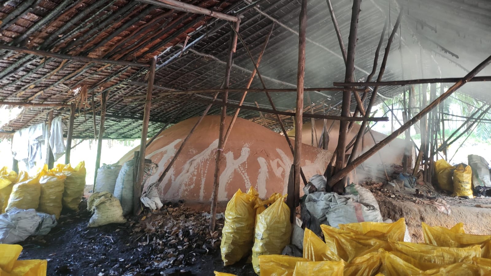 The Production Process of Halaban Charcoal: From Wood to