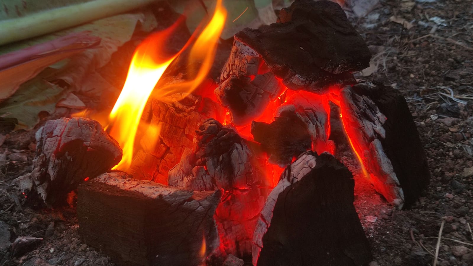 Charcoal Halaban Excels in Combustion