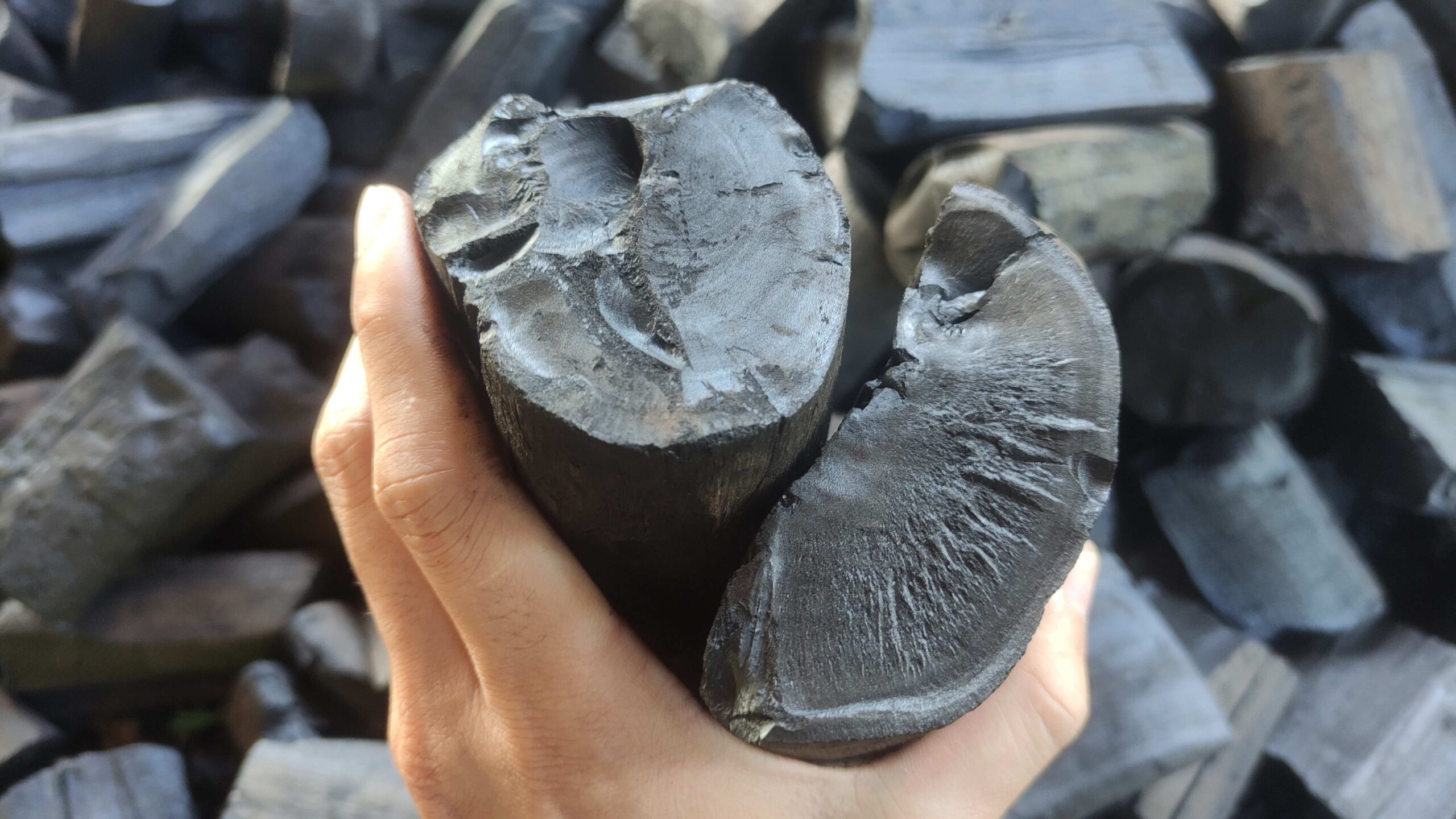 Increasing Demand for Charcoal from Indonesia in the Middle East ...